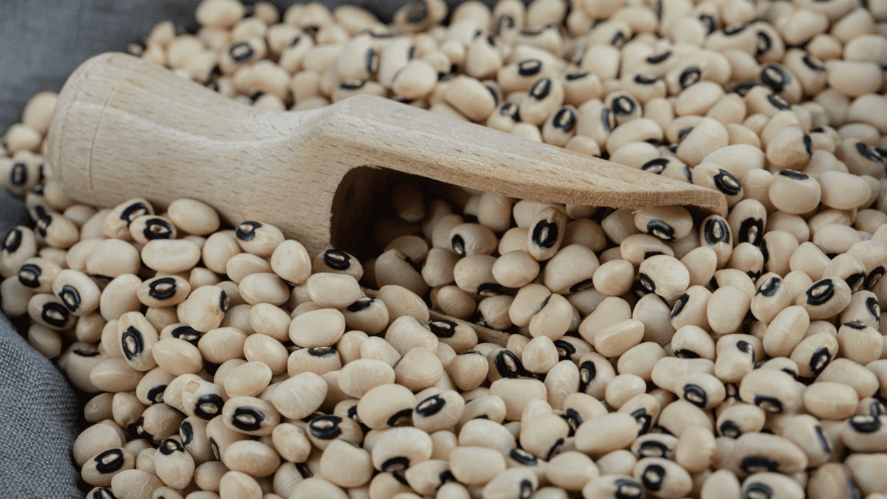 Indigenous South African ingredients to use in your cooking | Dineplan Blog