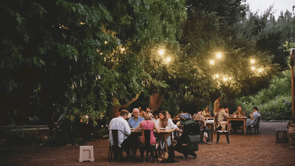 The Dining Trends Shaping 2025 Dineplan Blog
